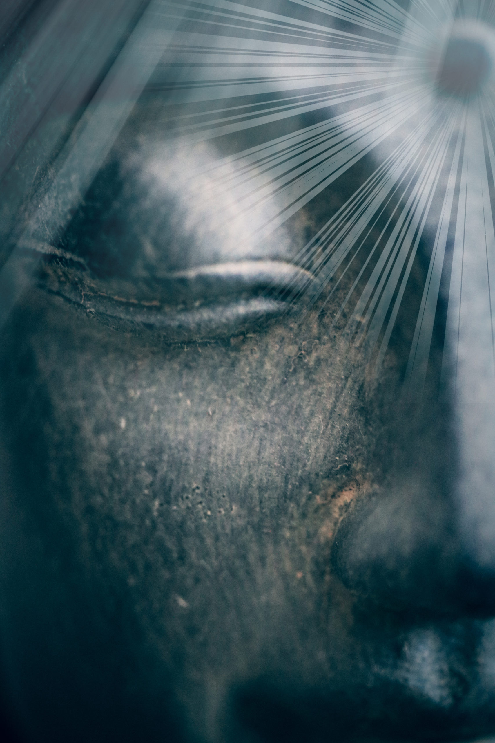 About the Founder - Essential Motion